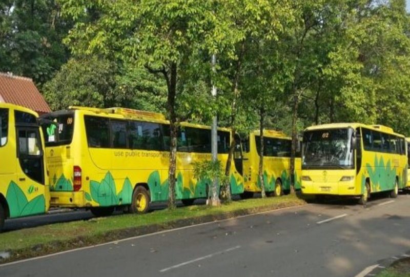 Rindu Bus Kuning alias Bikun UI yang Sering Dianggap Bus Paling Nyaman ...