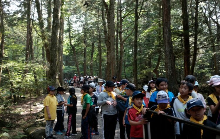 Hutan Aokigahara dan Mitos Ubasuteyama di Jepang - Terminal Mojok