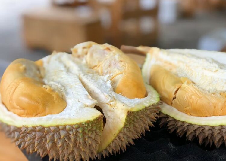 5 Kampung Durian Runtuh ala Upin & Ipin yang Ada di Banyuwangi