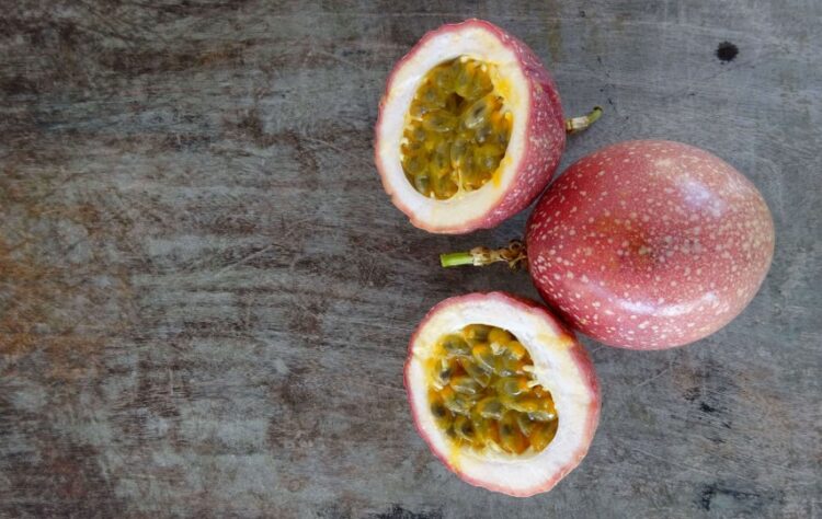 Sirup Markisa Aurora: Sirup Khas Makassar