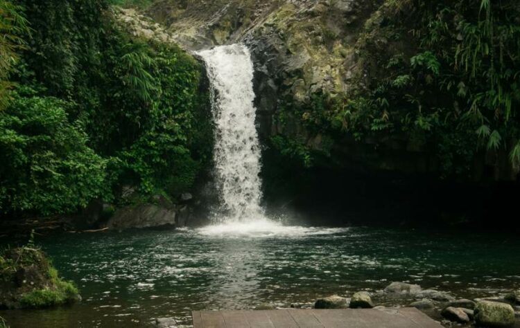 4 Hal yang Bikin Purwokerto Nggak Beda Jauh dengan Jogja