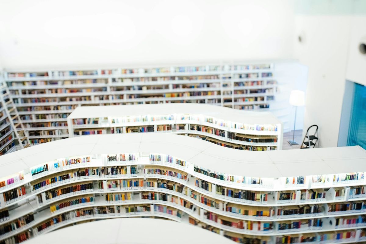 Ipusnas Dan Antrean Peminjam Buku Yang Tidak Masuk Akal