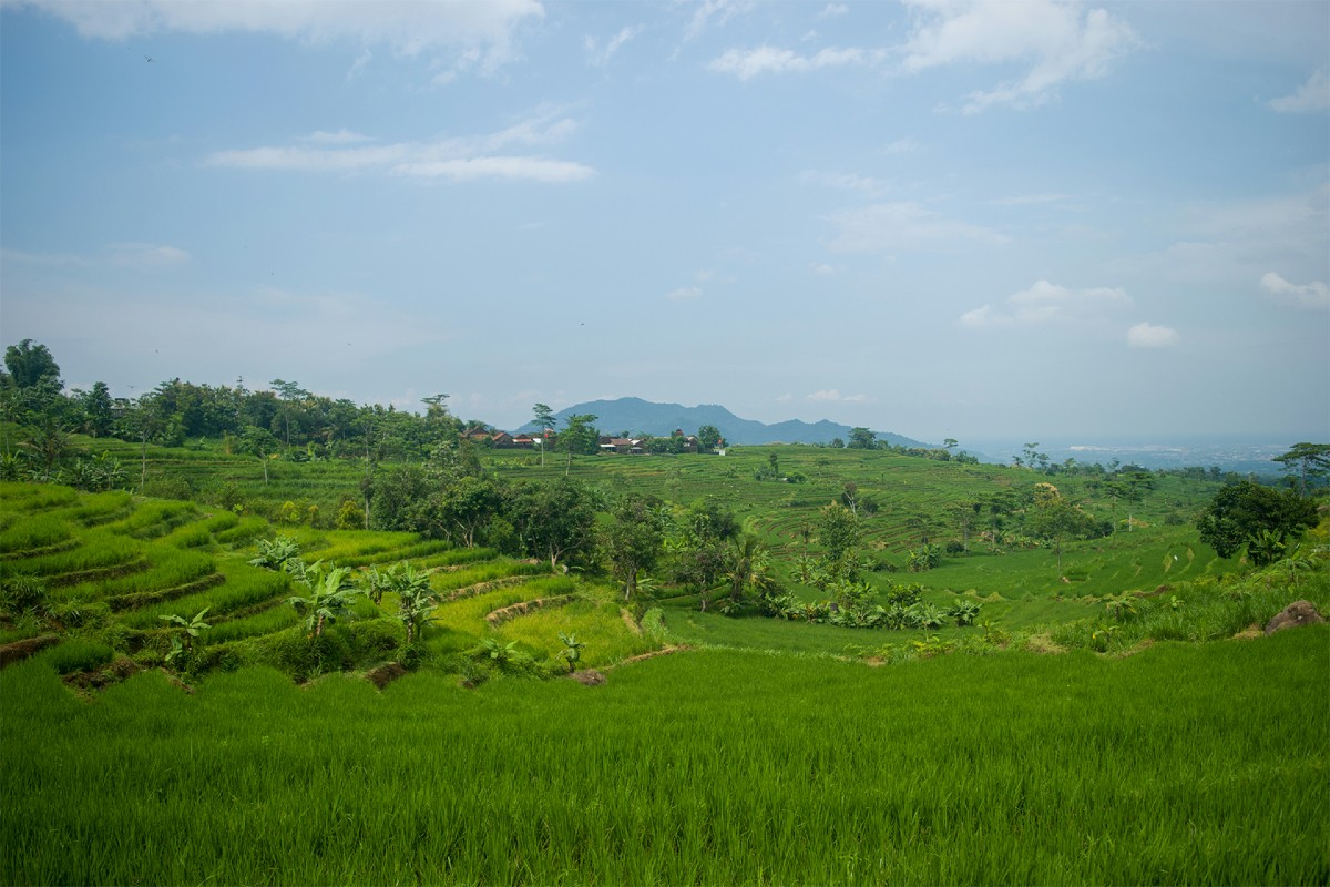 Desa Segaran Kediri, Desa Kecil di Jawa Timur dengan Potensi Besar