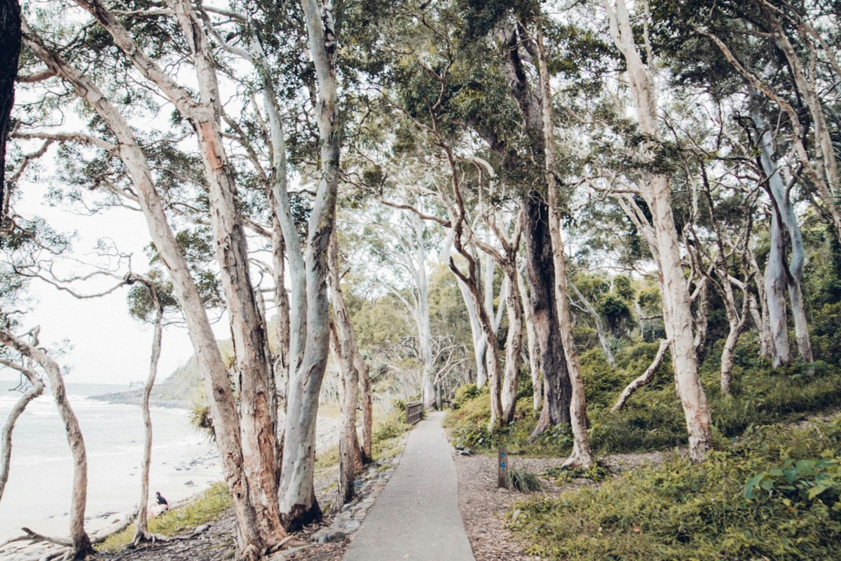 Jogging Track Sungai Brantas Mojokerto Sarang Mesum Pemuda