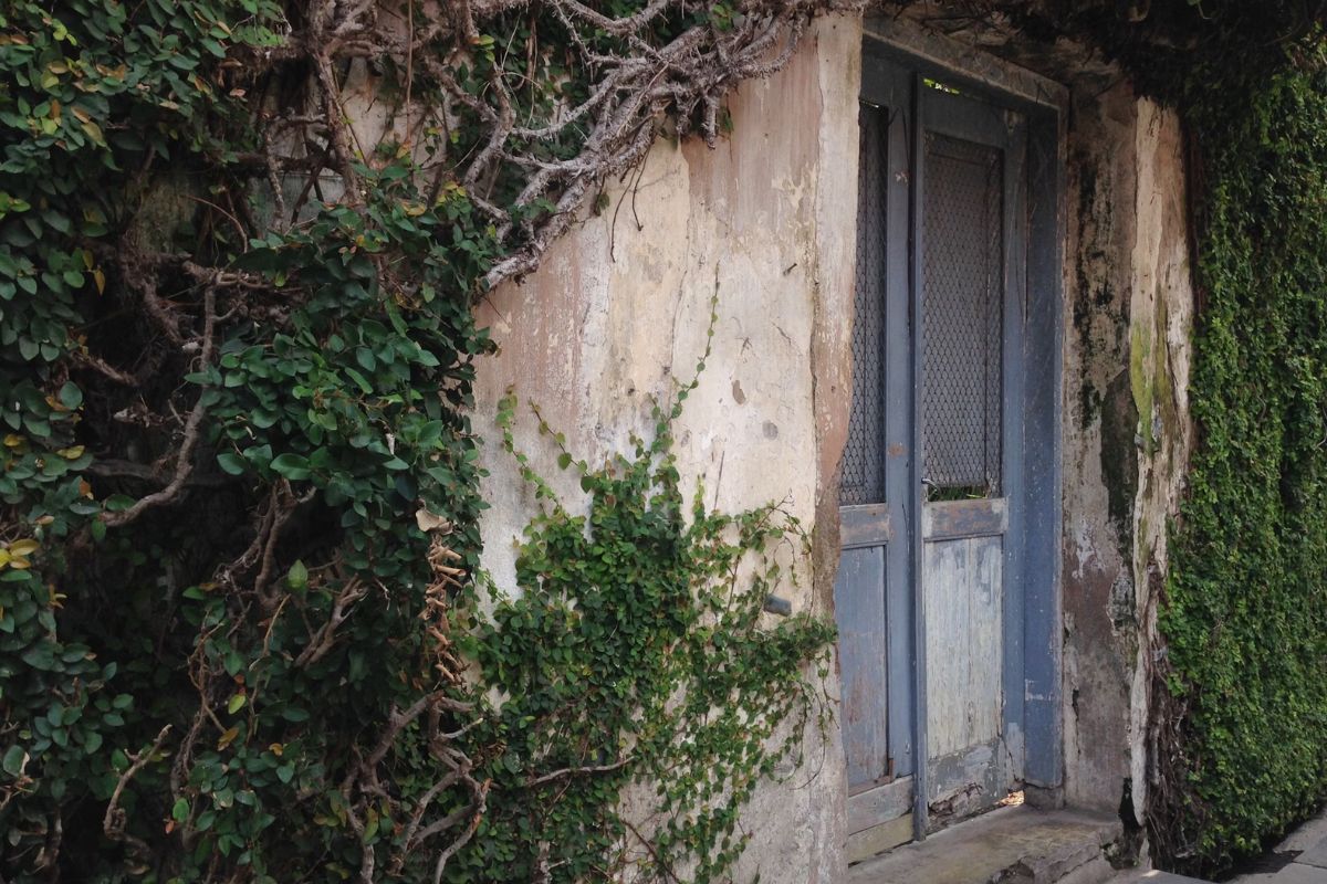 Kotagede Jogja, Pusat Pemerintahan yang Kini Jadi Kota Mati