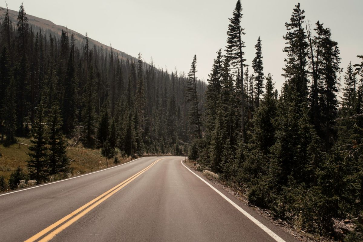 Jalanan Hutan Karet Mendiro Ungaran Timur Cocok untuk Uji Nyali