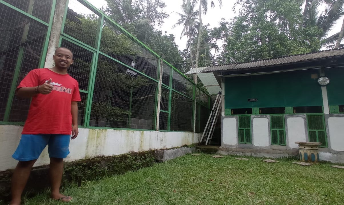 Ternak Burung, Modal Sayang dan Kurungan Saja tak Cukup - Mojok.co