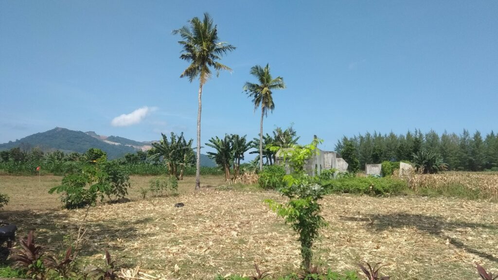 Melihat Tsunami Banyuwangi, Setelah 28 Tahun Terlewati