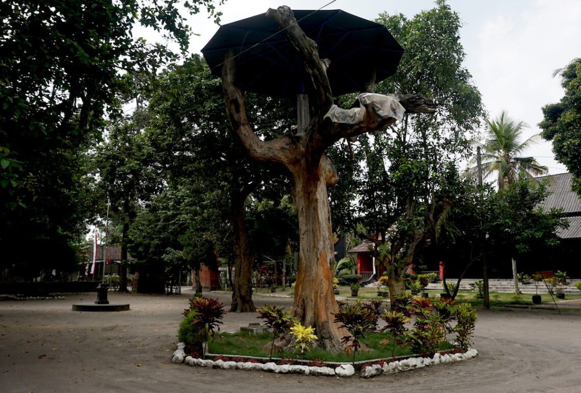 Peci Miring Bung Karno dan Pohon Kantil Saksi Asmara Ayahnya