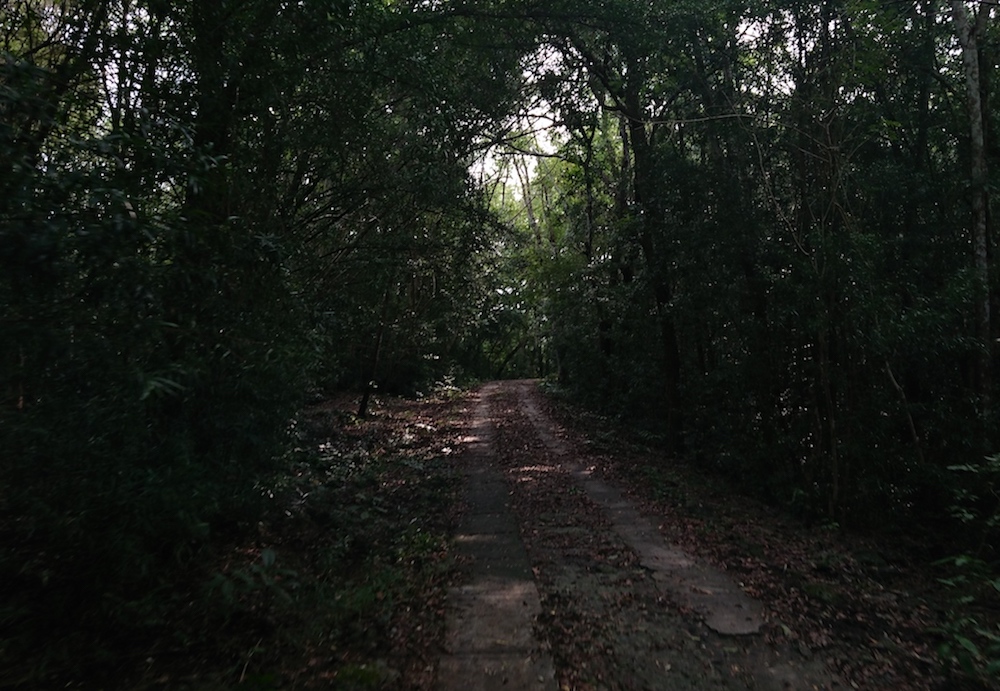 Lokasi Paling Mistis di UGM Menurut Para Satpamnya