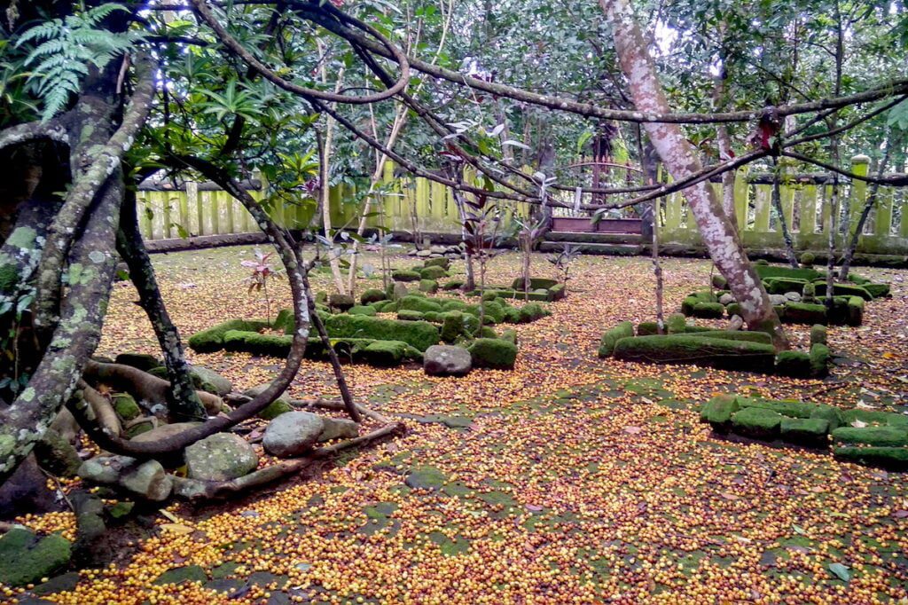 Pangeran Raja Atas Angin, Tokoh Islamisasi Tanah Priangan