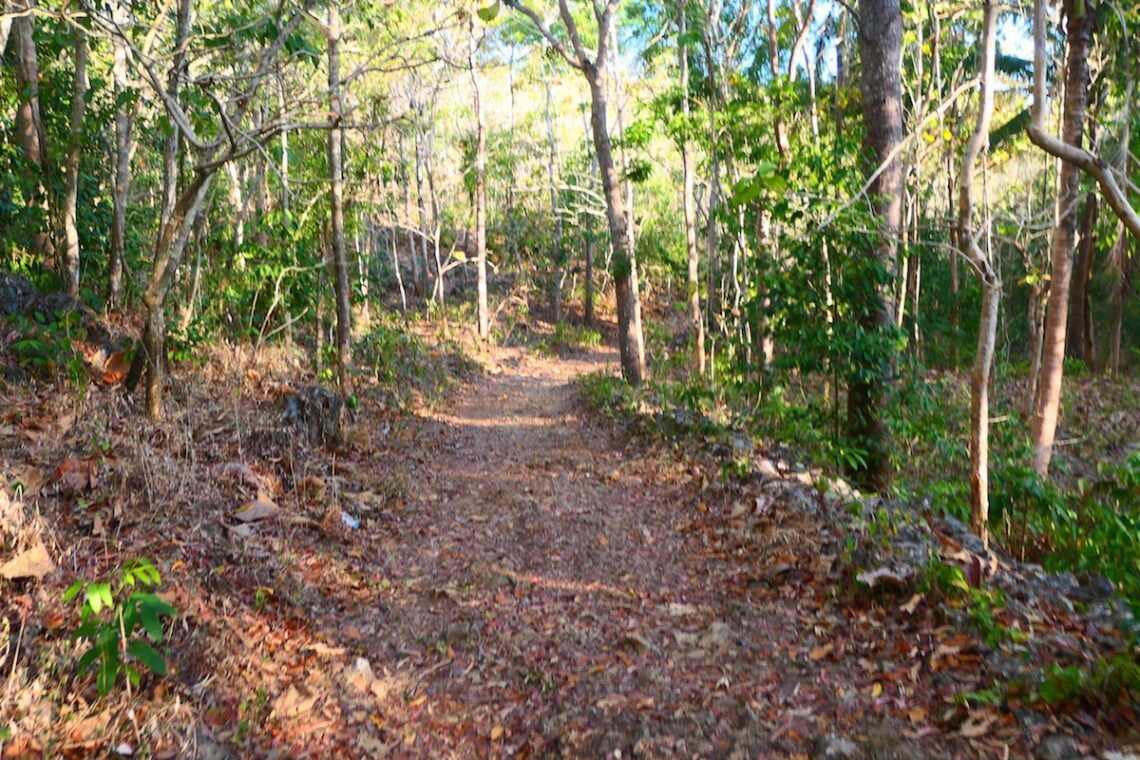 Goa Langse: Tempat Jokowi dan Anies Mencari Dukungan Gaib